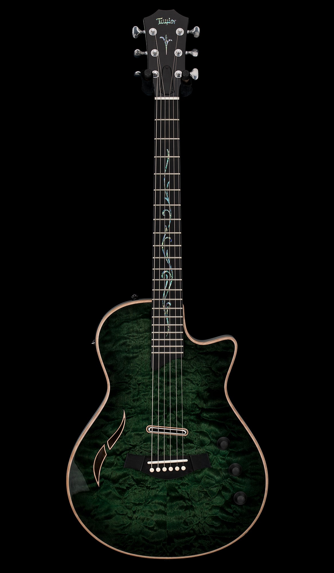 Taylor Custom Shop CT5z B6003 Quilted Big Leaf Maple/Shamel Ash (NAMM ...