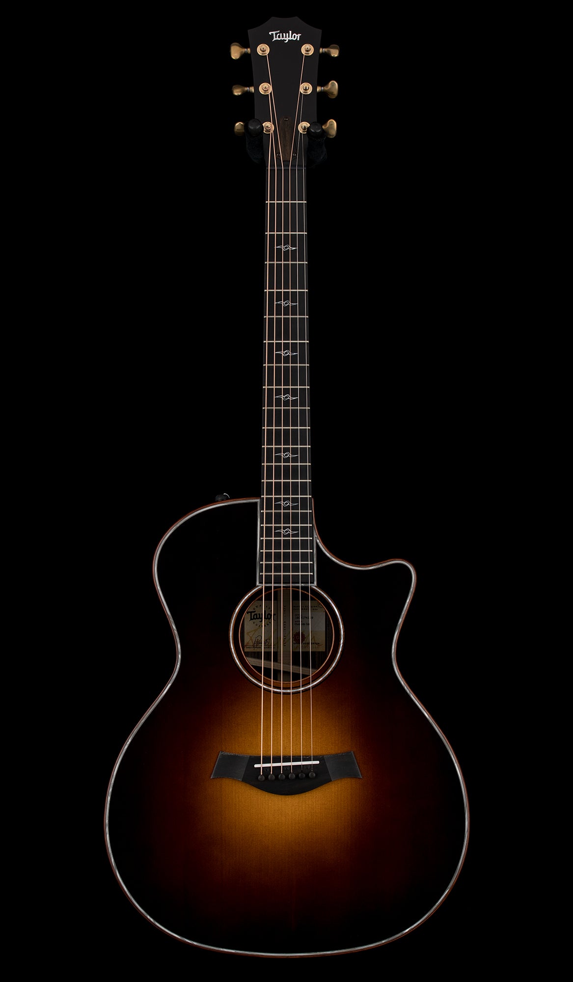 Taylor Custom Shop GA Rosewood/Adirondack Spruce - Midnight Burst #741 ...